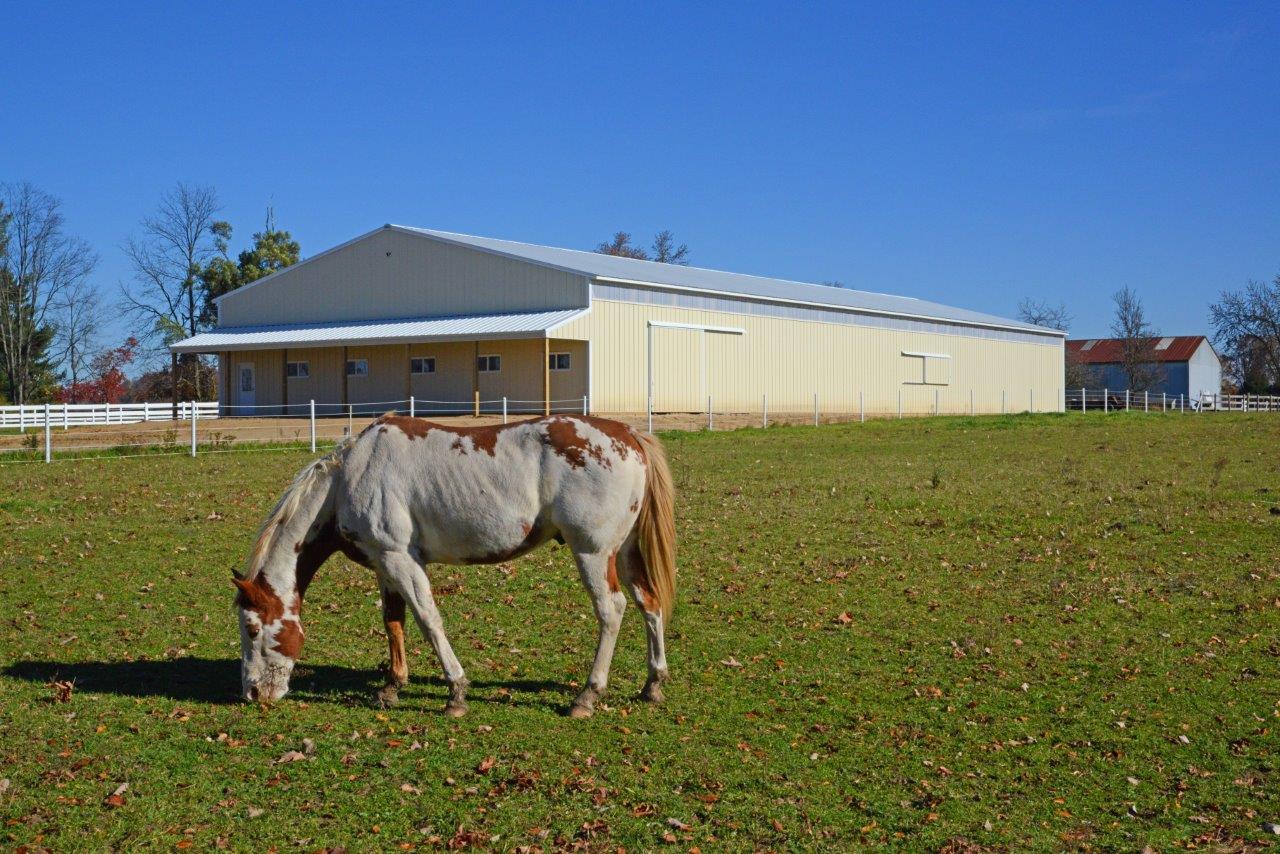 Equestrian Barns & Horse Buildings - Lynnman Construction